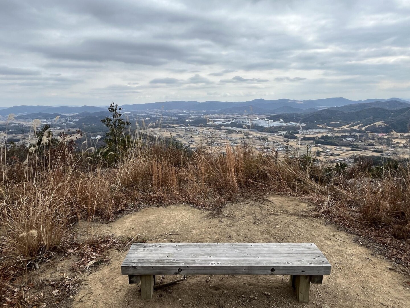 登り納め 槌山城跡 / Mt.masuさんの水ヶ丸山（水丸山）・曽場ヶ城山の活動データ | YAMAP / ヤマップ