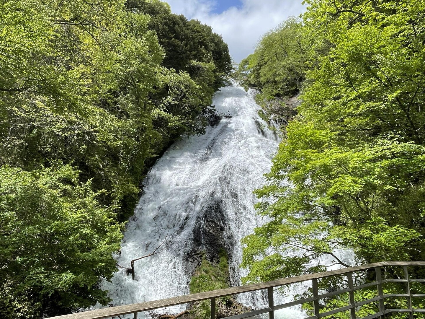 戦場ヶ原ハイキング / yumecampさんの男体山の活動データ | YAMAP / ヤマップ