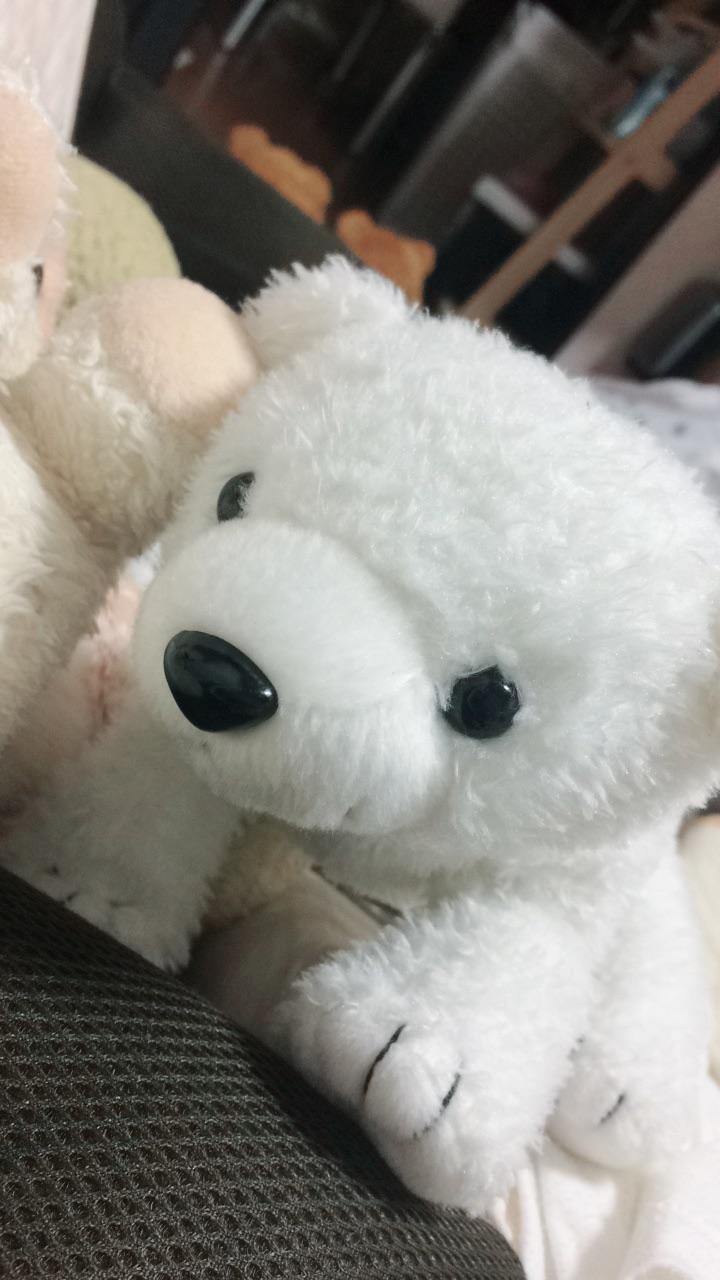 Akkie_Kumaのページ | YAMAP / ヤマップ