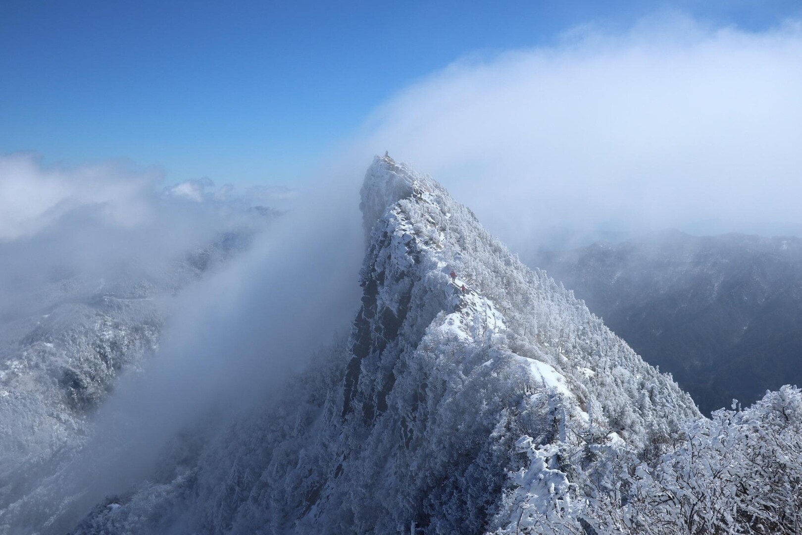 23.16石鎚山🏔神を感じた奇跡の白天狗様(^^) / カブさん(CUB主)さんの石鎚山・堂ヶ森・二ノ森の活動データ | YAMAP / ヤマップ