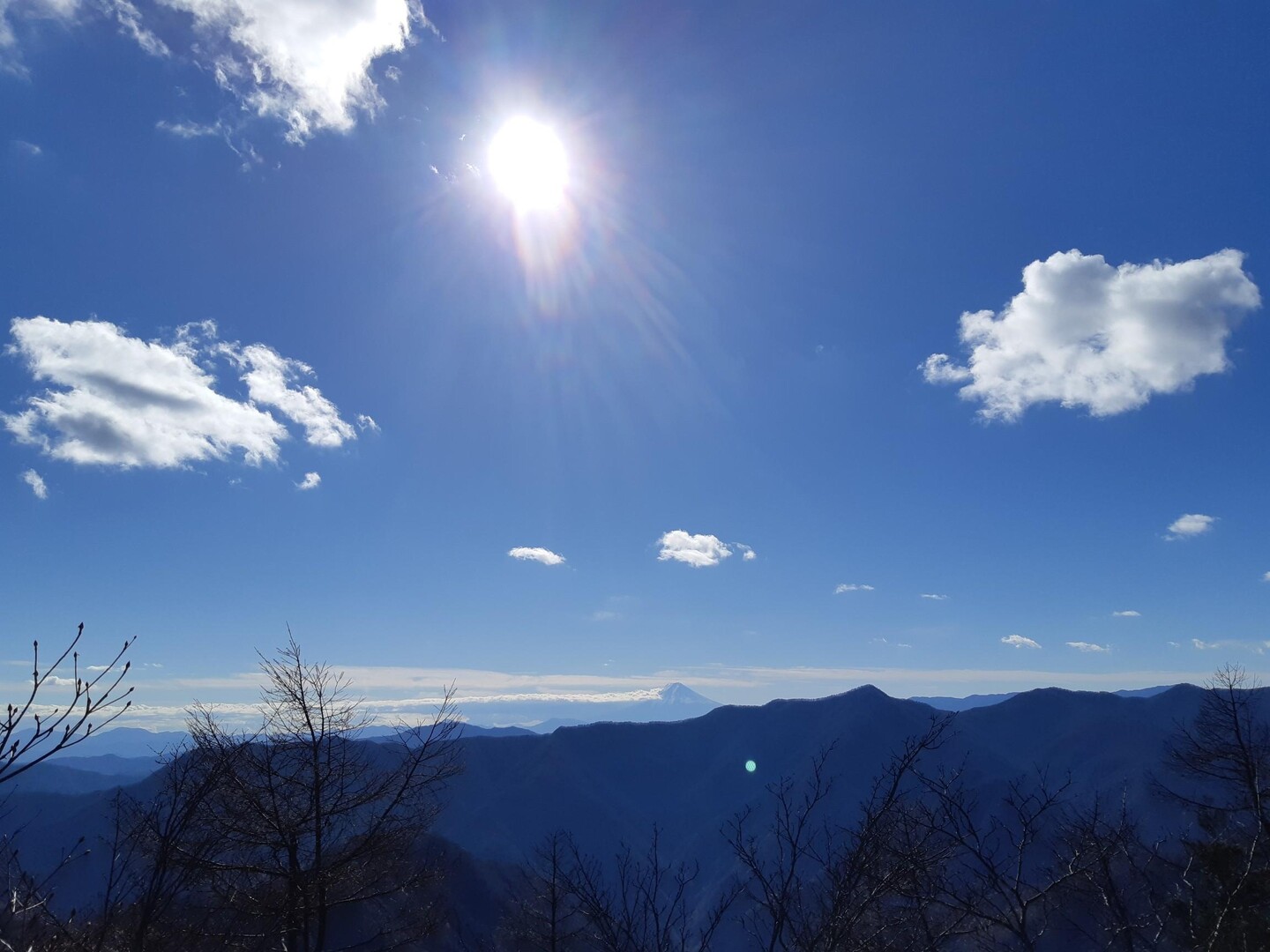 天目山(三ツドッケ) 20241123 / bbshipxk2023さんの雲取山・鷹ノ巣山・七ツ石山の活動データ | YAMAP / ヤマップ