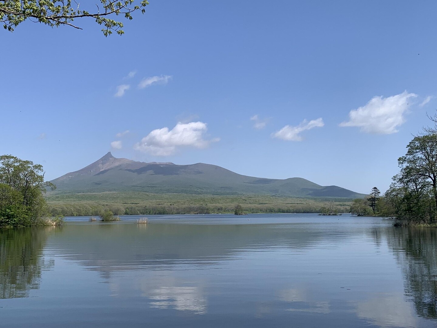 駒ヶ岳（馬ノ背） / se-goさんの北海道駒ヶ岳（蝦夷駒ヶ岳・渡島駒ヶ岳）の活動データ | YAMAP / ヤマップ