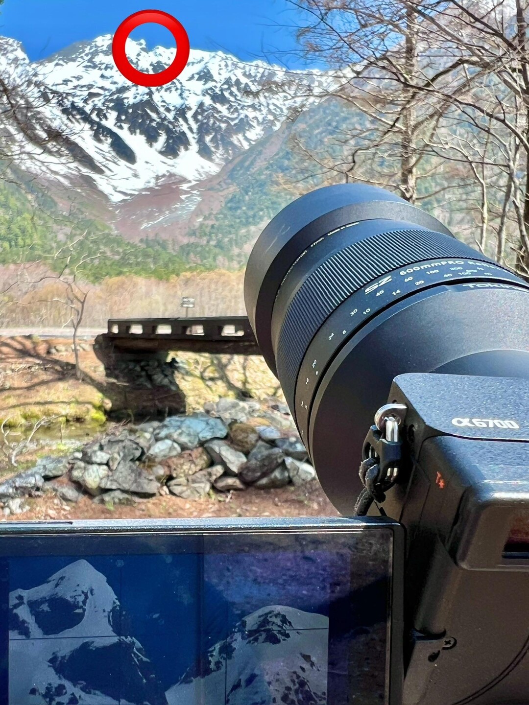 超・望遠レンズ📸 https://y... / もうひとつの学校 さんのモーメント | YAMAP / ヤマップ