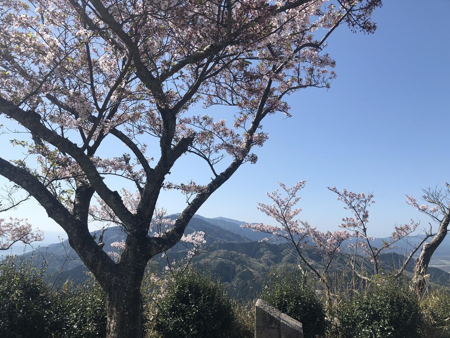 ダイヤモンドトレイル 前半 / Hugoさんの金剛山・二上山・大和葛城山の活動日記 | YAMAP / ヤマップ