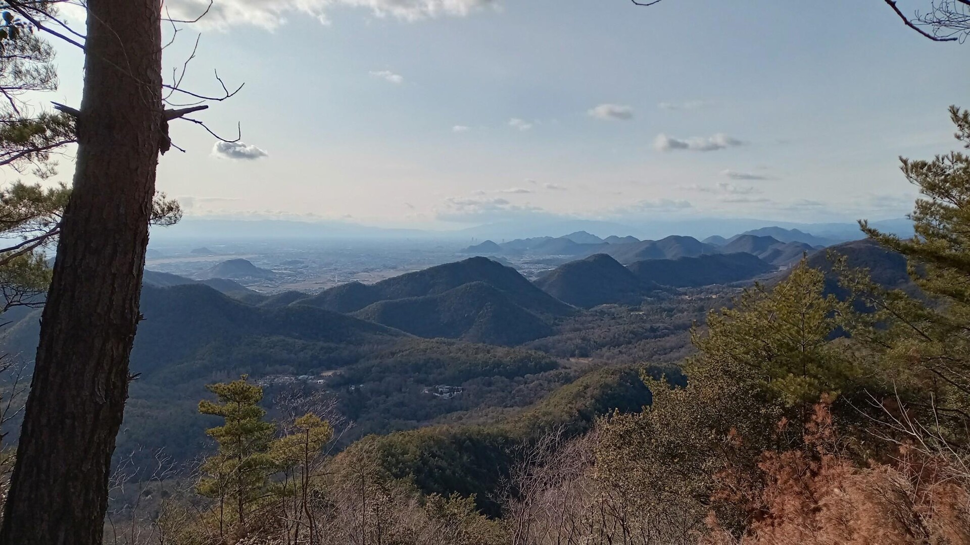 金比羅山・明王山 / FujiKさんの各務原アルプス（関南アルプス）・八木三山の活動日記 | YAMAP / ヤマップ