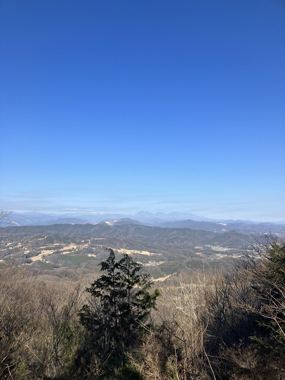 太平山・晃石山・青入山・馬不入山-2023-12-28 / YuZOさんの太平山・晃石山・唐沢山の活動データ | YAMAP / ヤマップ