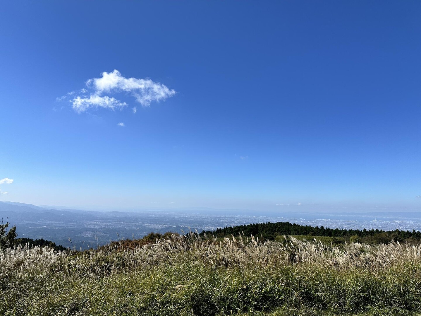 大和葛城山 / kanaさんの葛城古道の活動データ | YAMAP / ヤマップ