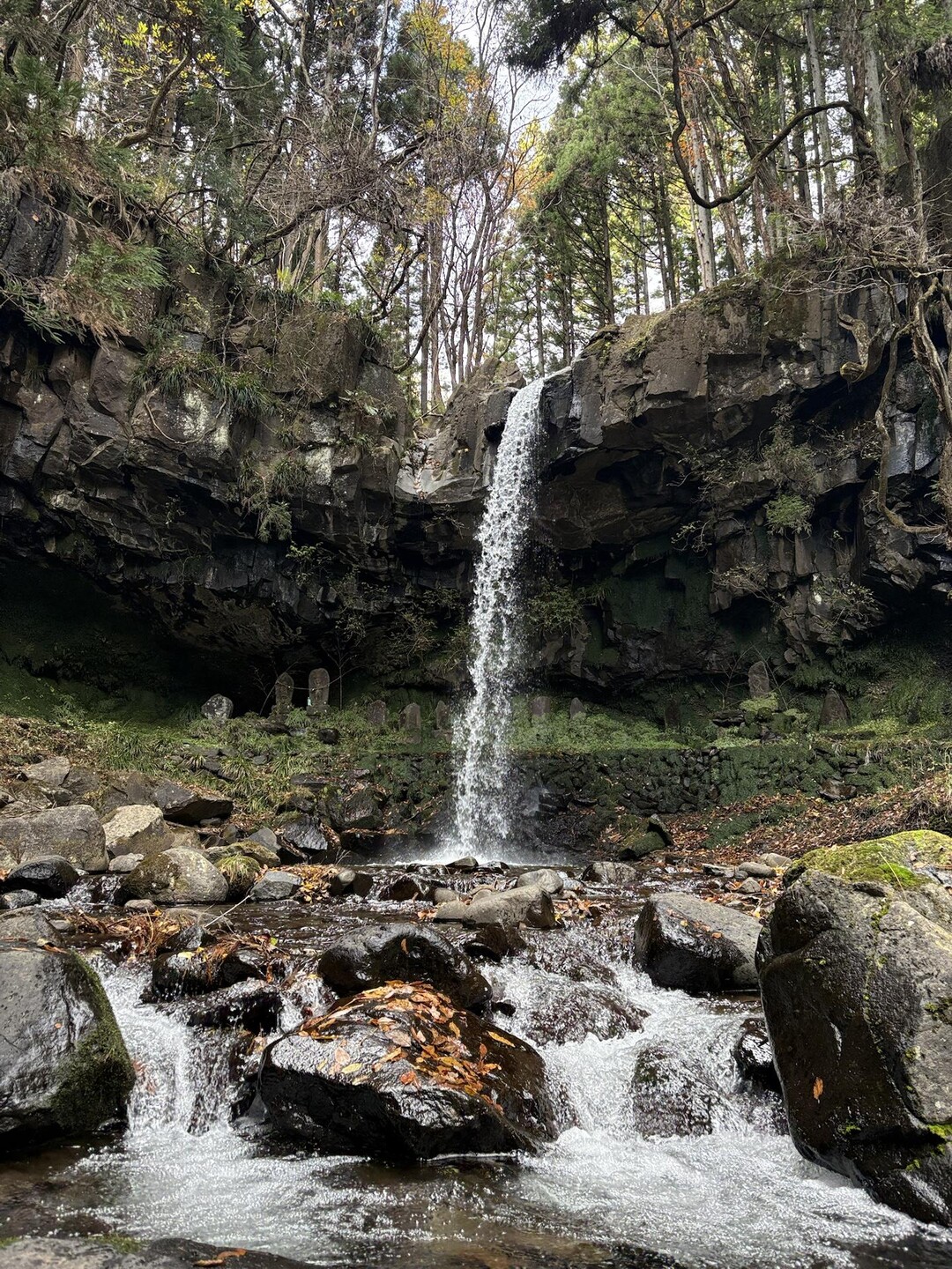 高戸谷山 / B.Bearさんの鼻曲山・氷妻山・留夫山の活動データ | YAMAP / ヤマップ