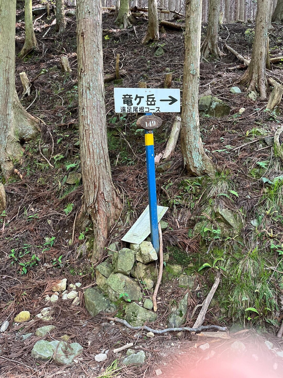 竜ヶ岳 / nobicoさんの竜ヶ岳の活動データ | YAMAP / ヤマップ