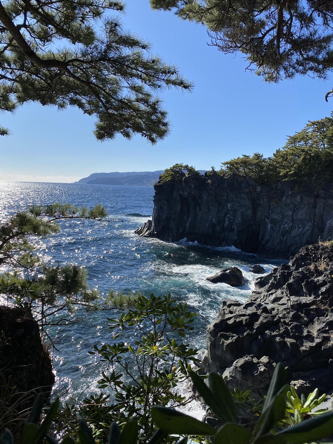 城ヶ崎ハイク-2024-12-29 2日目 / ツッキー15さんのウォーキングの活動日記 | YAMAP / ヤマップ