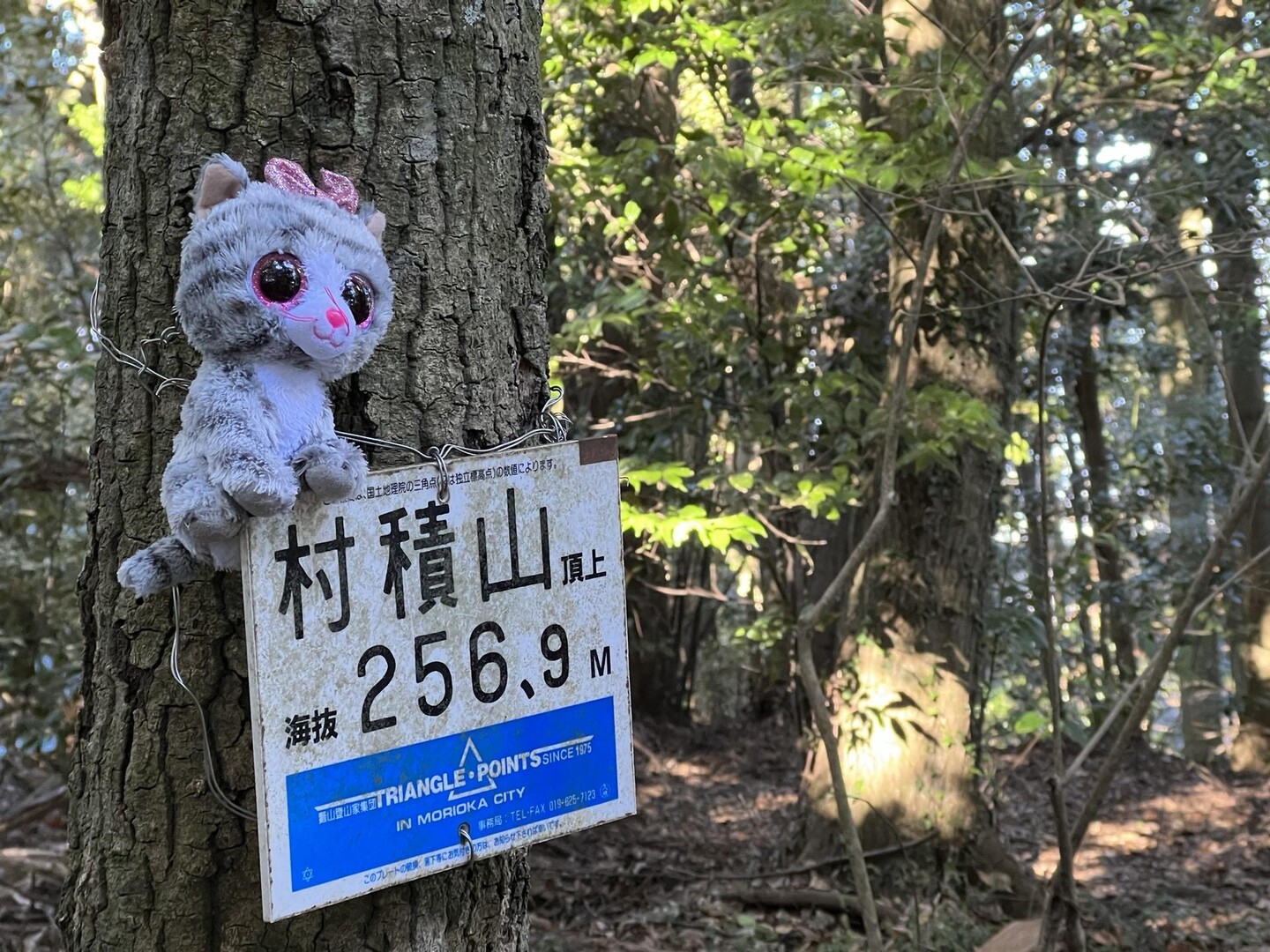 村積山 / ISSEIさんの村積山の活動データ | YAMAP / ヤマップ