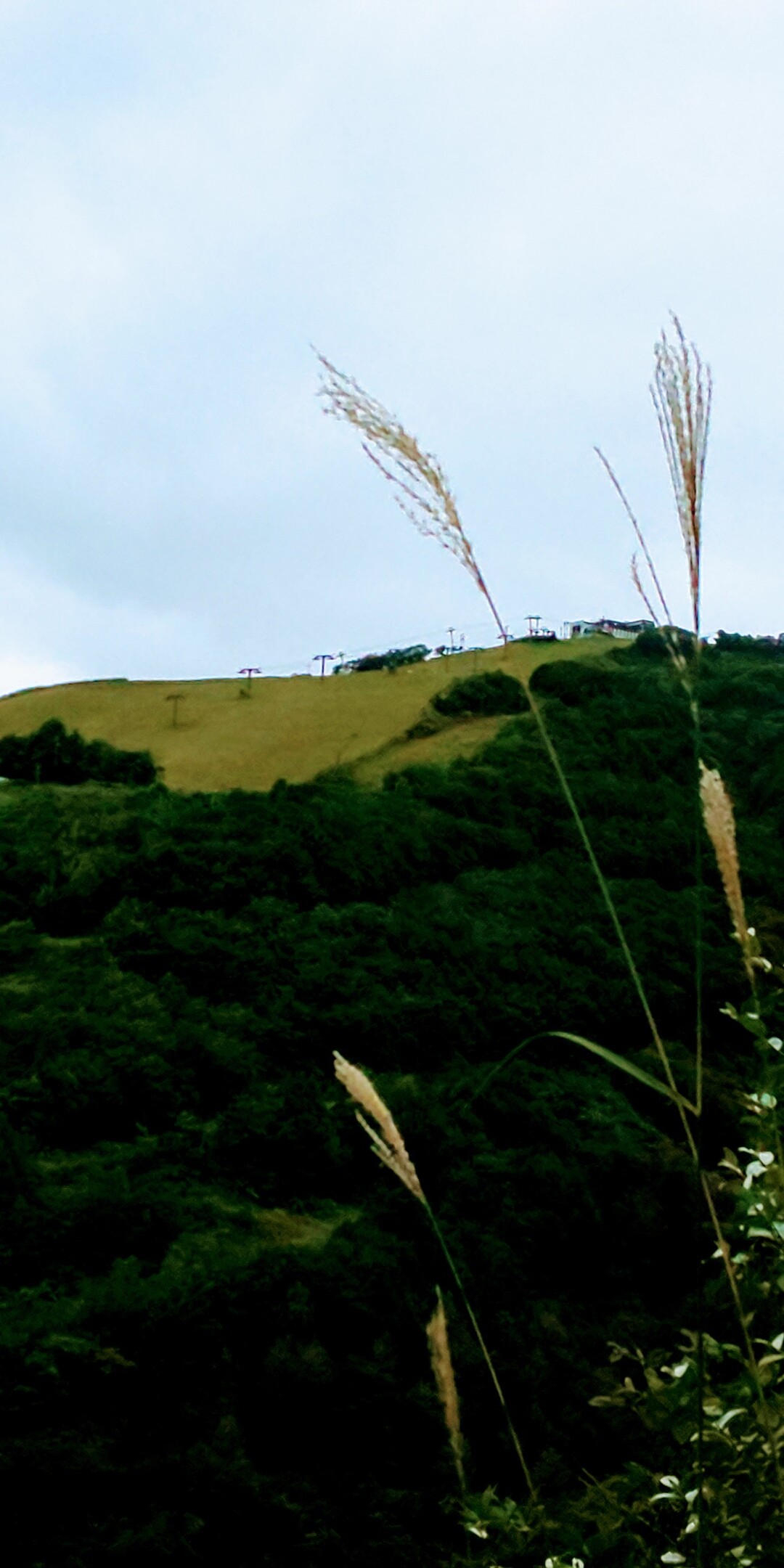 心折れる… 唐松岳の見晴らし予報、7時... / hirohiroさんのモーメント | YAMAP / ヤマップ