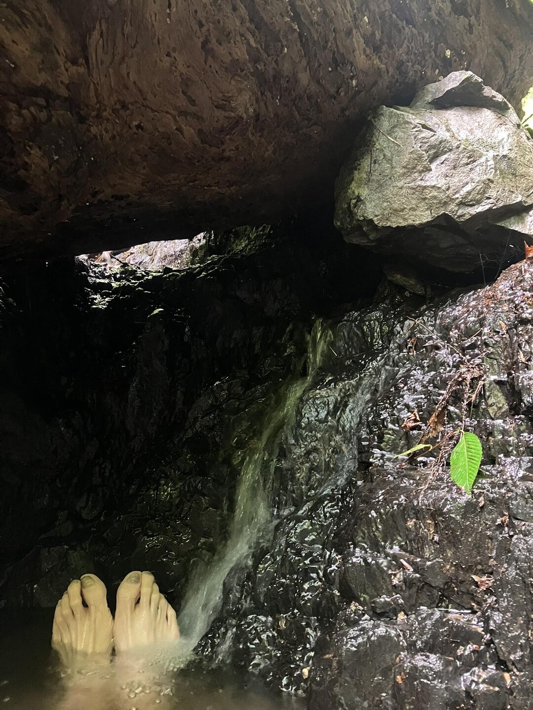 高尾山周回3登頂・天然水風呂27k / 高尾人さんのランニングの活動データ | YAMAP / ヤマップ