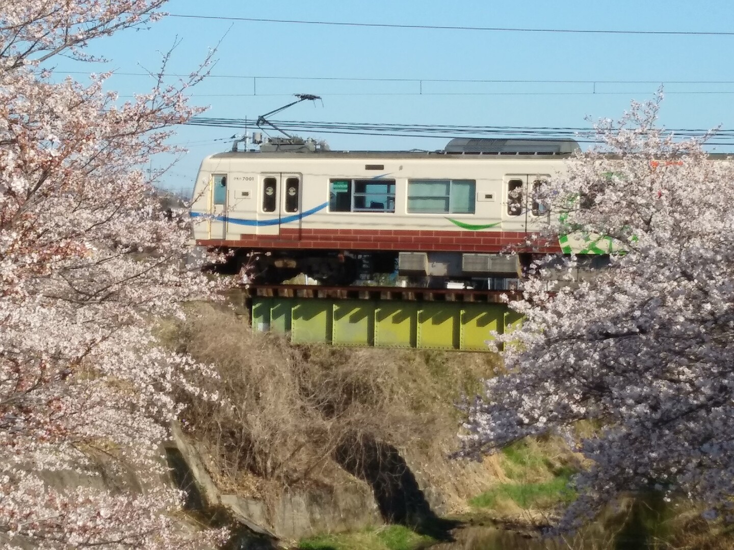 撮り鉄さんに便乗してパシャリ！桜と上信電... / Rileyさんのモーメント | YAMAP / ヤマップ