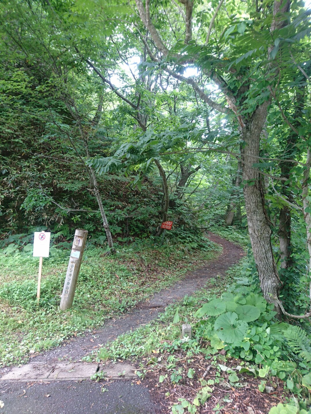 2022.7.10 梵珠山 / takeさんのモーメント | YAMAP / ヤマップ