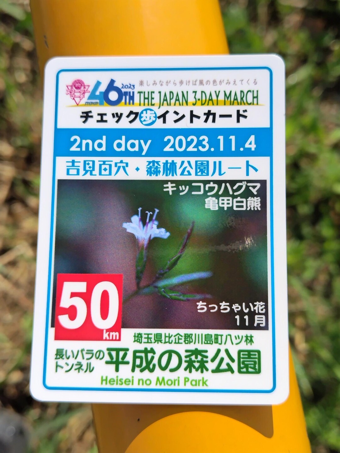 日本スリーデーマーチ2023 50kmコース 2日目 / さかてつさんの熊谷市の活動データ | YAMAP / ヤマップ