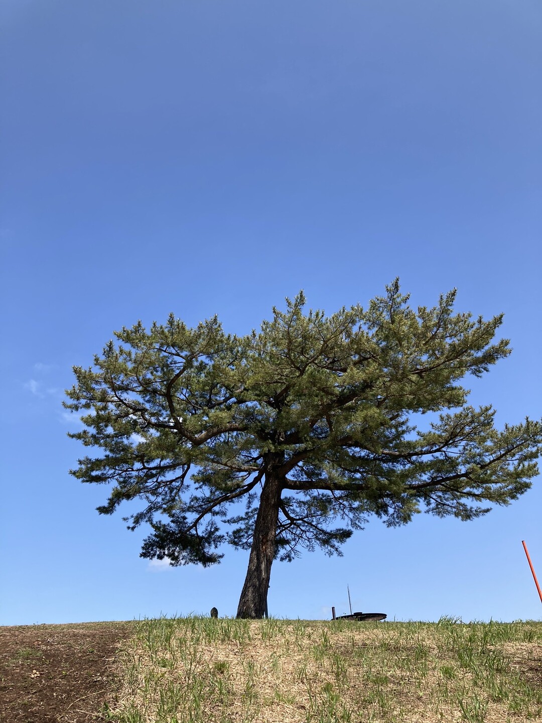 神鍋山 / hikkyさんの神鍋山・神鍋高原の活動データ | YAMAP / ヤマップ