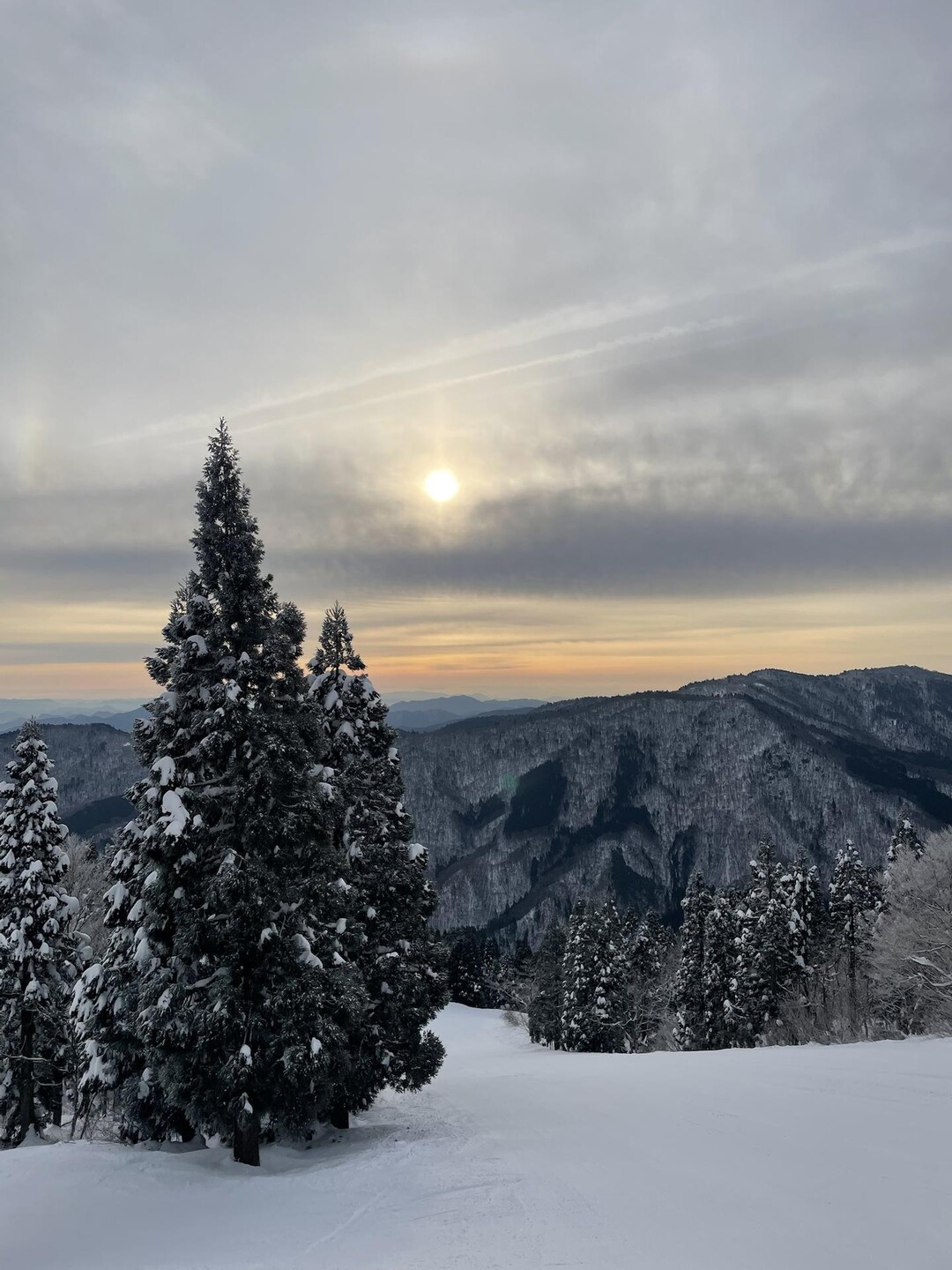 【2025/1/5 やっぱり恐羅漢🏂 ... / Nockyさんのモーメント | YAMAP / ヤマップ