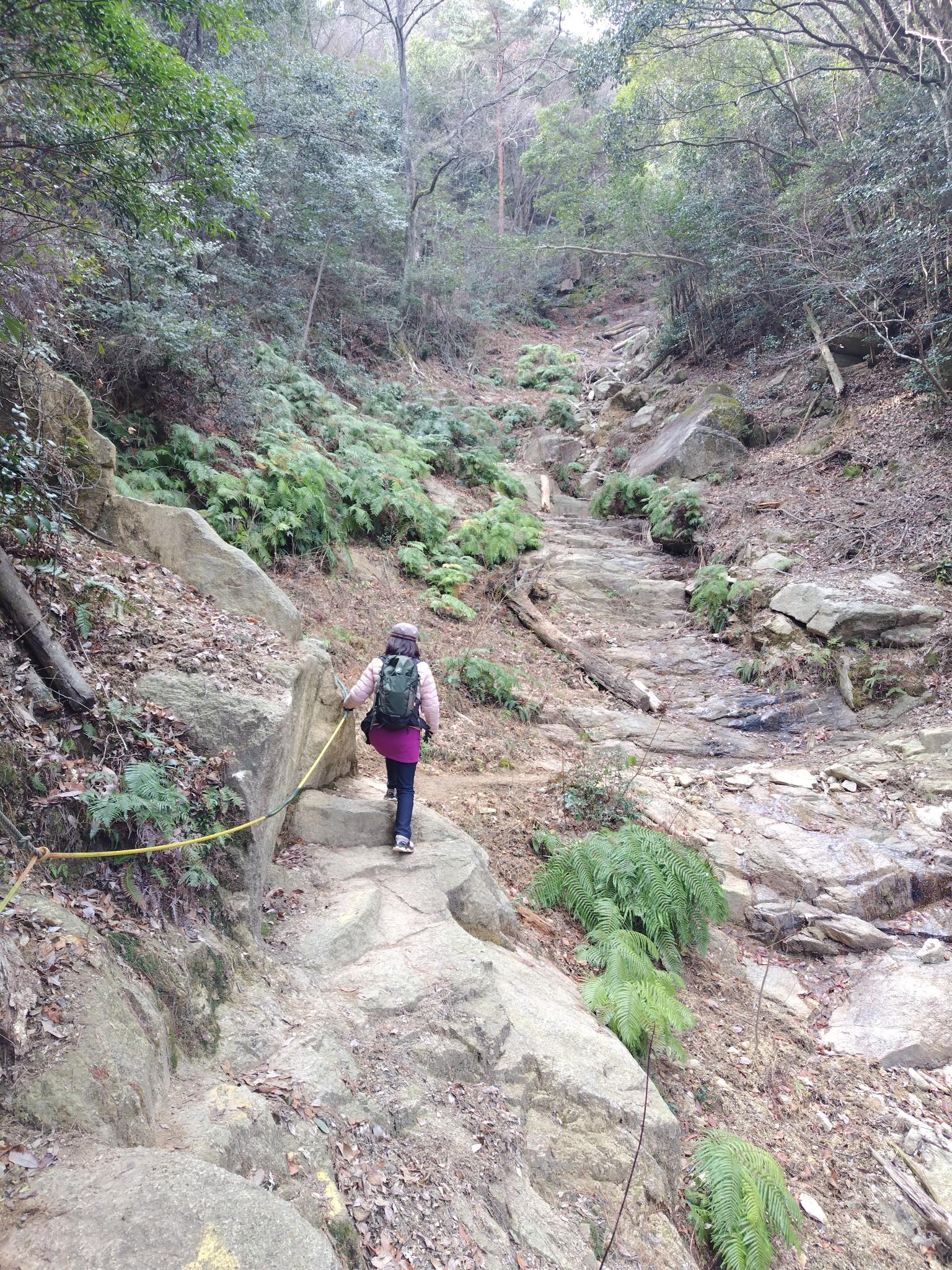 159 絵下山 / にこさんの絵下山・天狗城山・森山の活動データ | YAMAP / ヤマップ