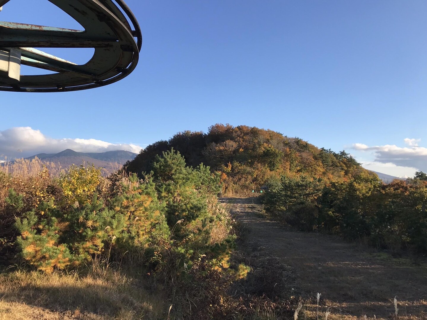 モヤヒルズ開通😁薮無し🙆🏽‍♂️10-25 / SHOさんの青森市の活動データ | YAMAP / ヤマップ