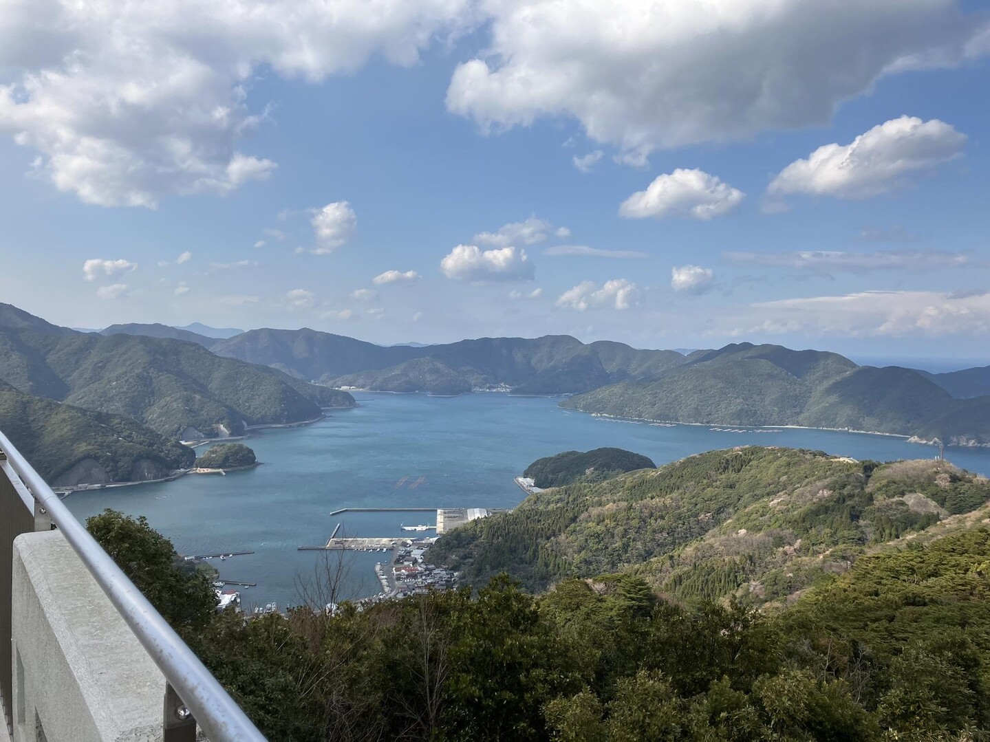 瀬平山 / JUNさんの元越山・色利山・石槌山の活動データ | YAMAP / ヤマップ