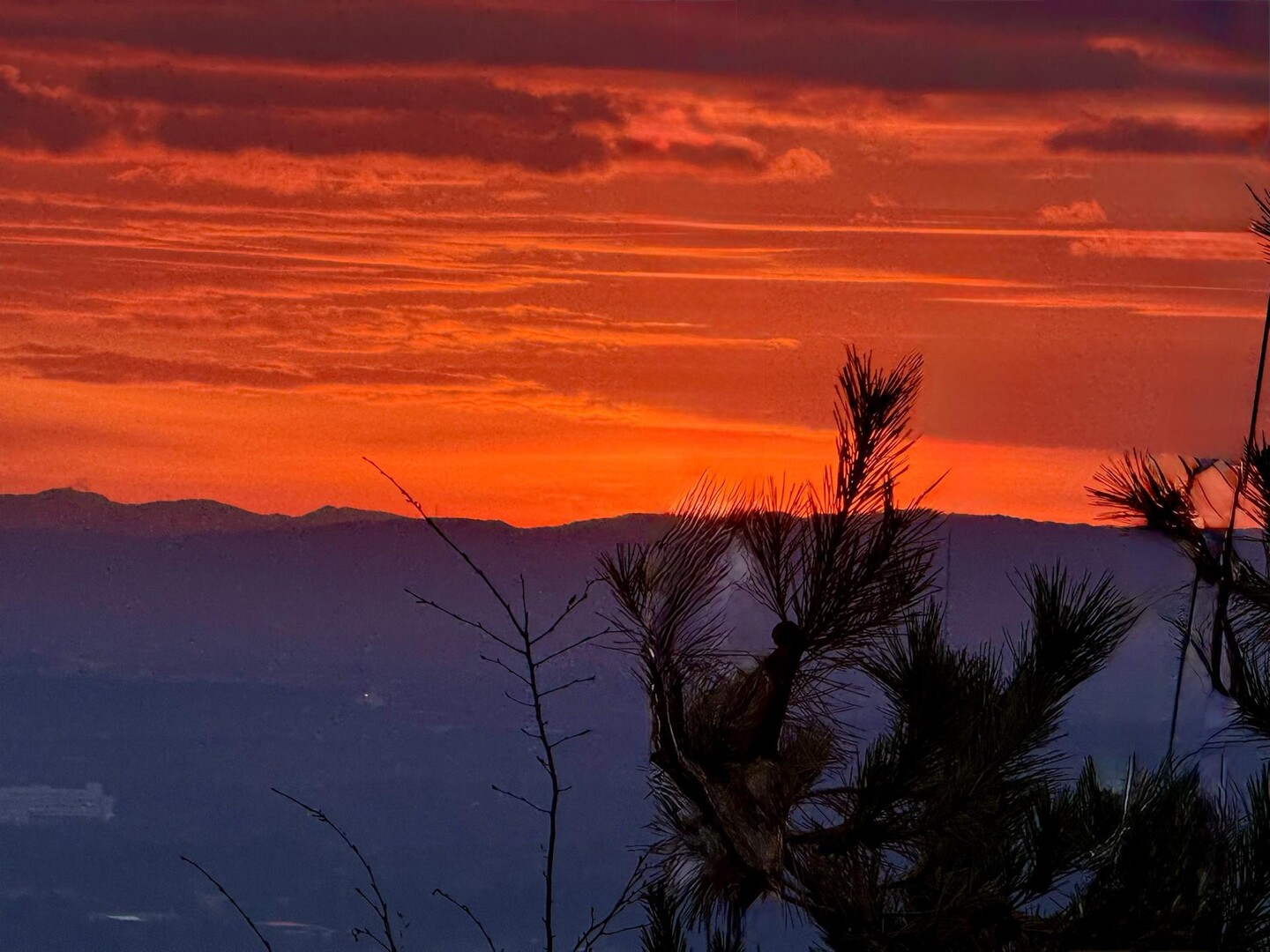 鳩吹山・継鹿尾山・不動山・三井山・金華山 / tsさんの名古屋市の活動データ | YAMAP / ヤマップ