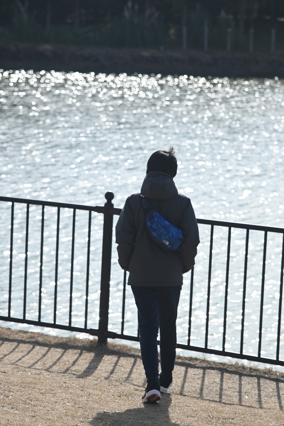 these days No,106 ... / Wis⁂さんのモーメント | YAMAP / ヤマップ