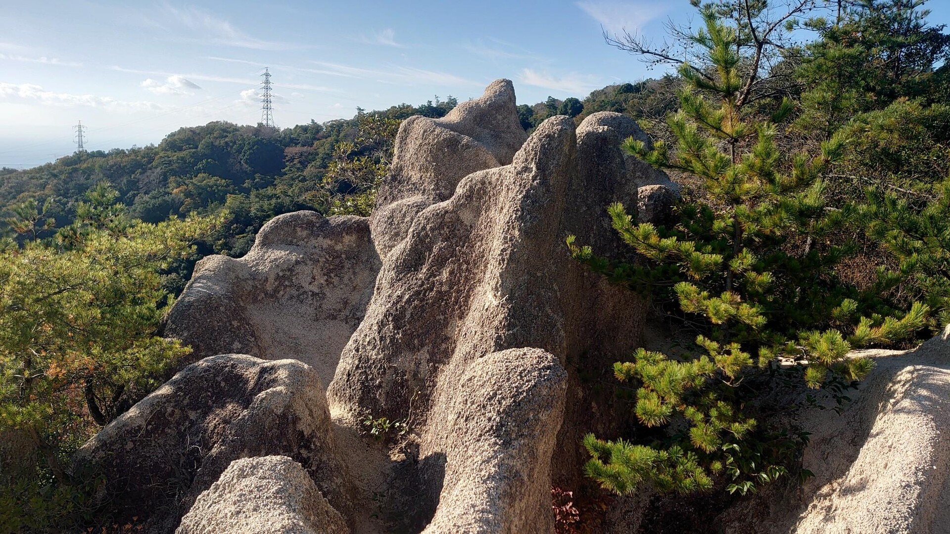 東お多福山・六甲山 / No_Remorseさんの六甲山・長峰山・摩耶山の活動データ | YAMAP / ヤマップ