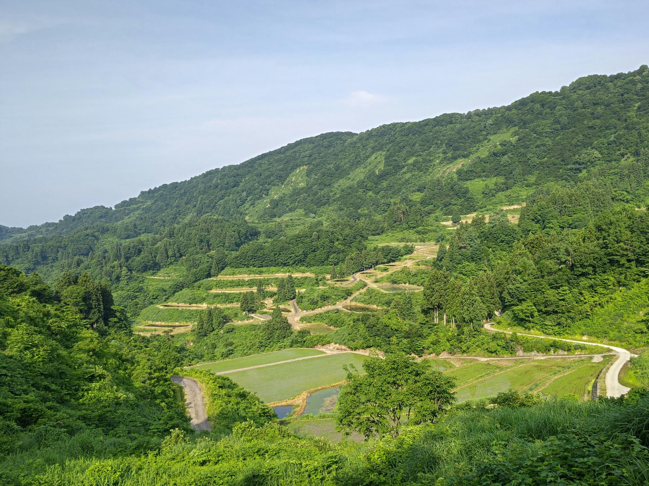 猿倉岳 / ikkoさんの鋸山・三ノ峠山・八方台の活動データ | YAMAP / ヤマップ