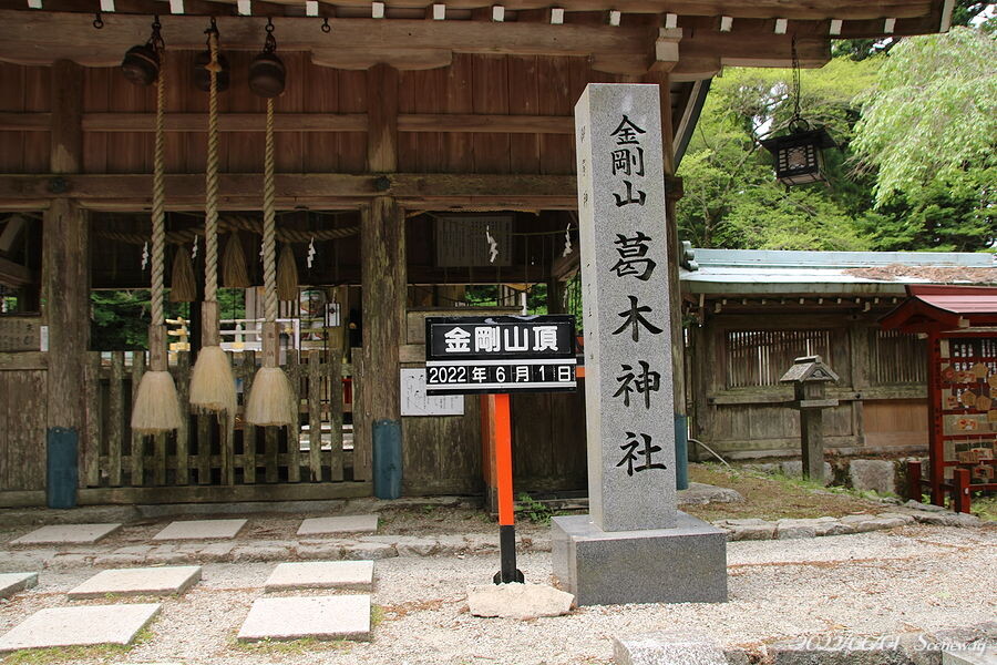 大和青垣山めぐり⑤ 葛城山から金剛山 / Scenewayさんの金剛山・二上山・大和葛城山の活動データ | YAMAP / ヤマップ