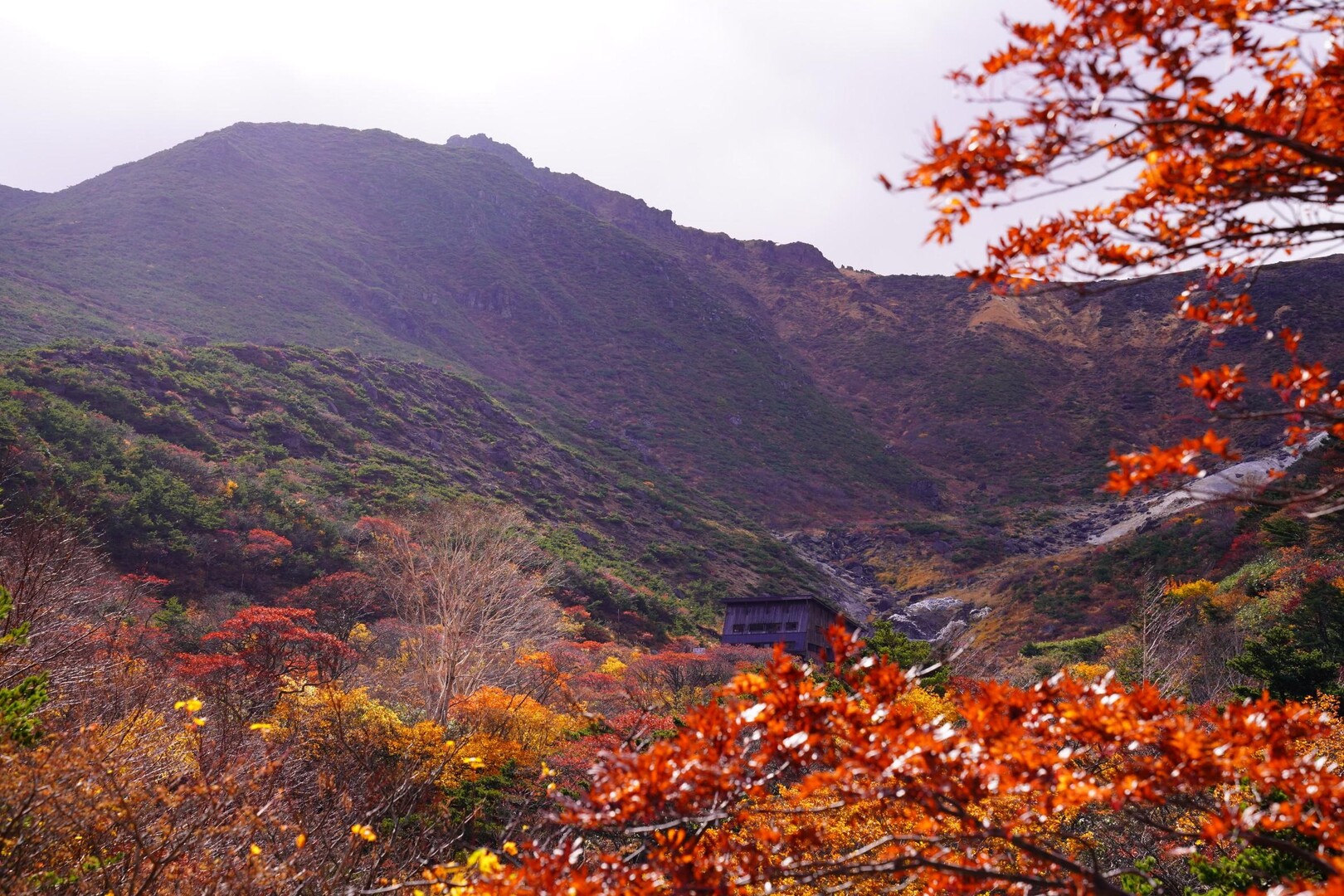 燃える安達太良山 / Koikoiさんの安達太良山・箕輪山・鬼面山の活動データ | YAMAP / ヤマップ