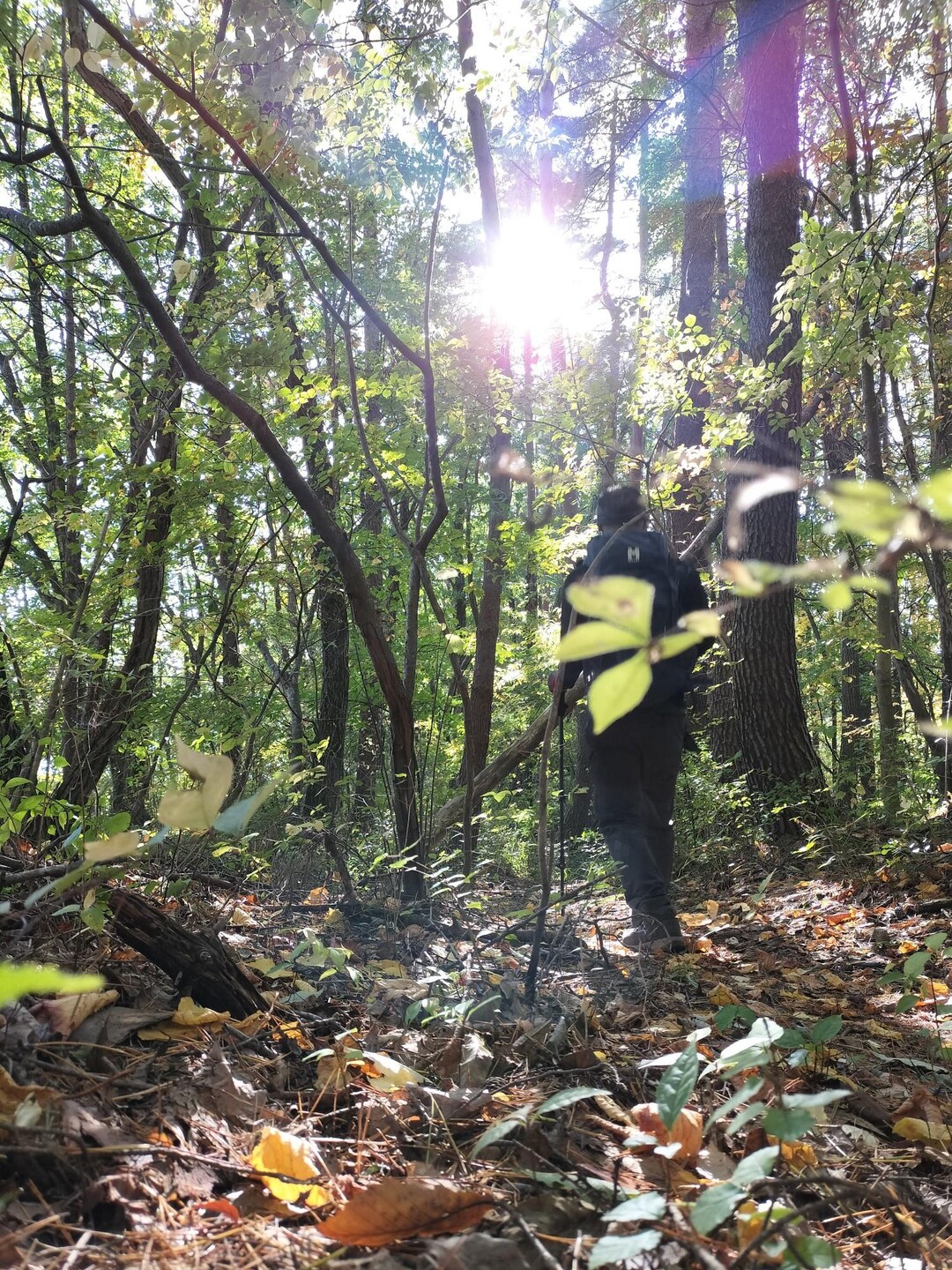 KENJIのページ | YAMAP / ヤマップ