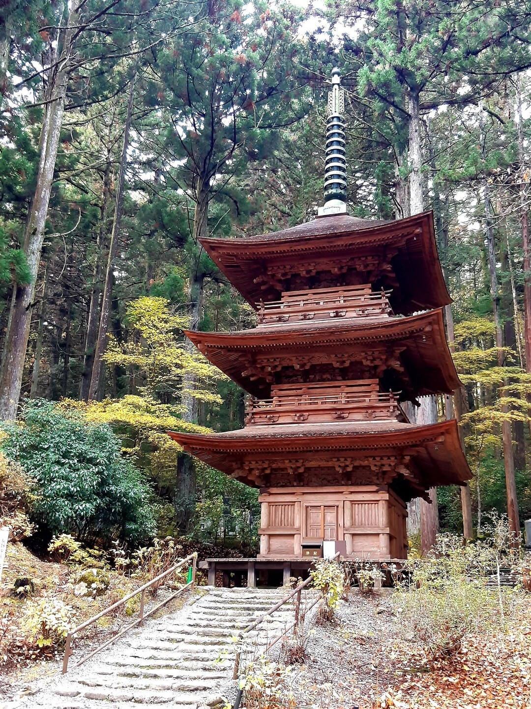 光善寺の紅葉🍁 https://ph... / Heroさんのモーメント | YAMAP / ヤマップ