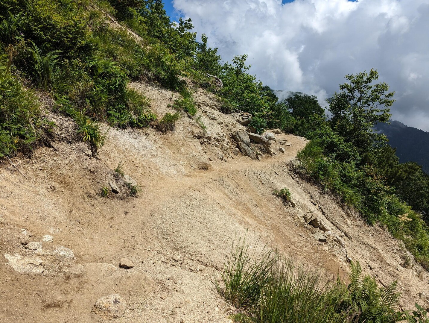 tontonさんの投稿したフィールドメモ | YAMAP / ヤマップ