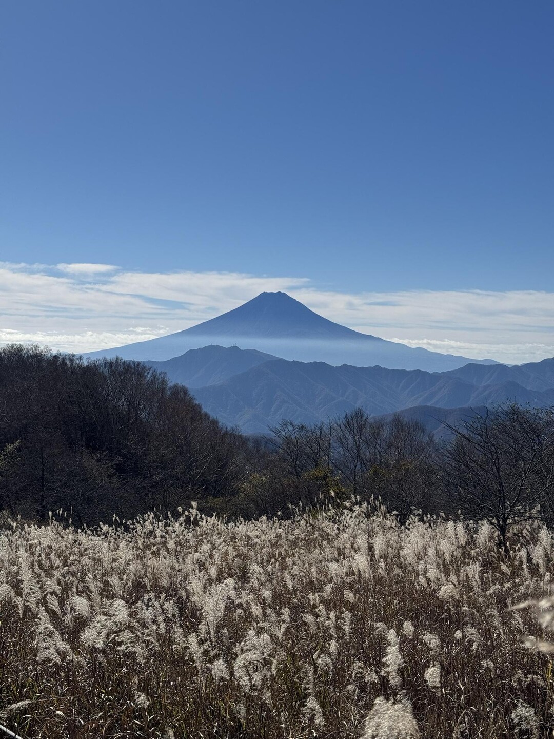 やまなし県央2024【山】ハマイバ丸 / 🐰Lininha(Lina)🐢🐇さんの雁ヶ腹摺山・岩殿山の活動データ | YAMAP / ヤマップ