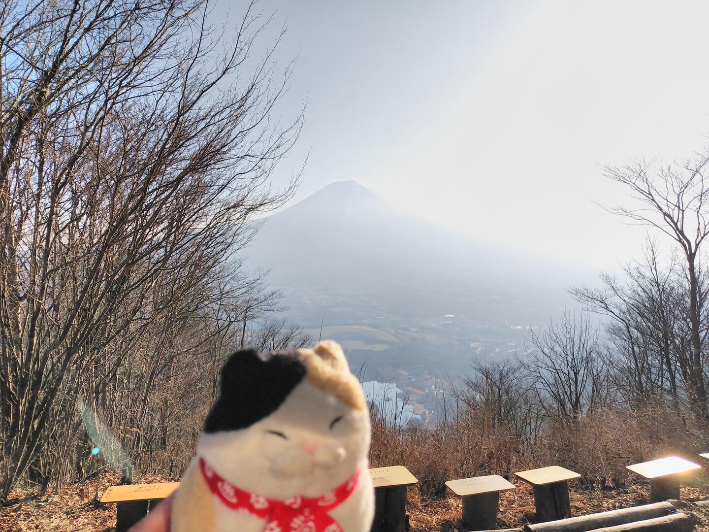🐹good morning Mt．FU... / にゃーおさんのモーメント | YAMAP / ヤマップ