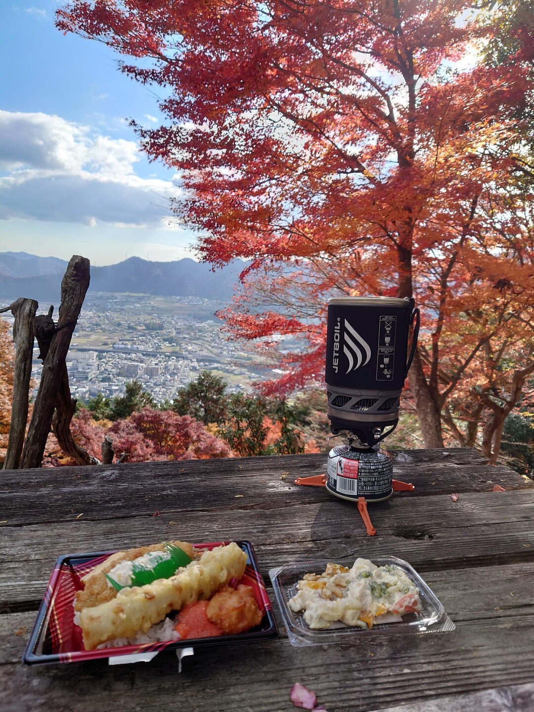 一本松（山﨑もみじ山🍁） / Ken16さんの国見山の活動データ | YAMAP / ヤマップ