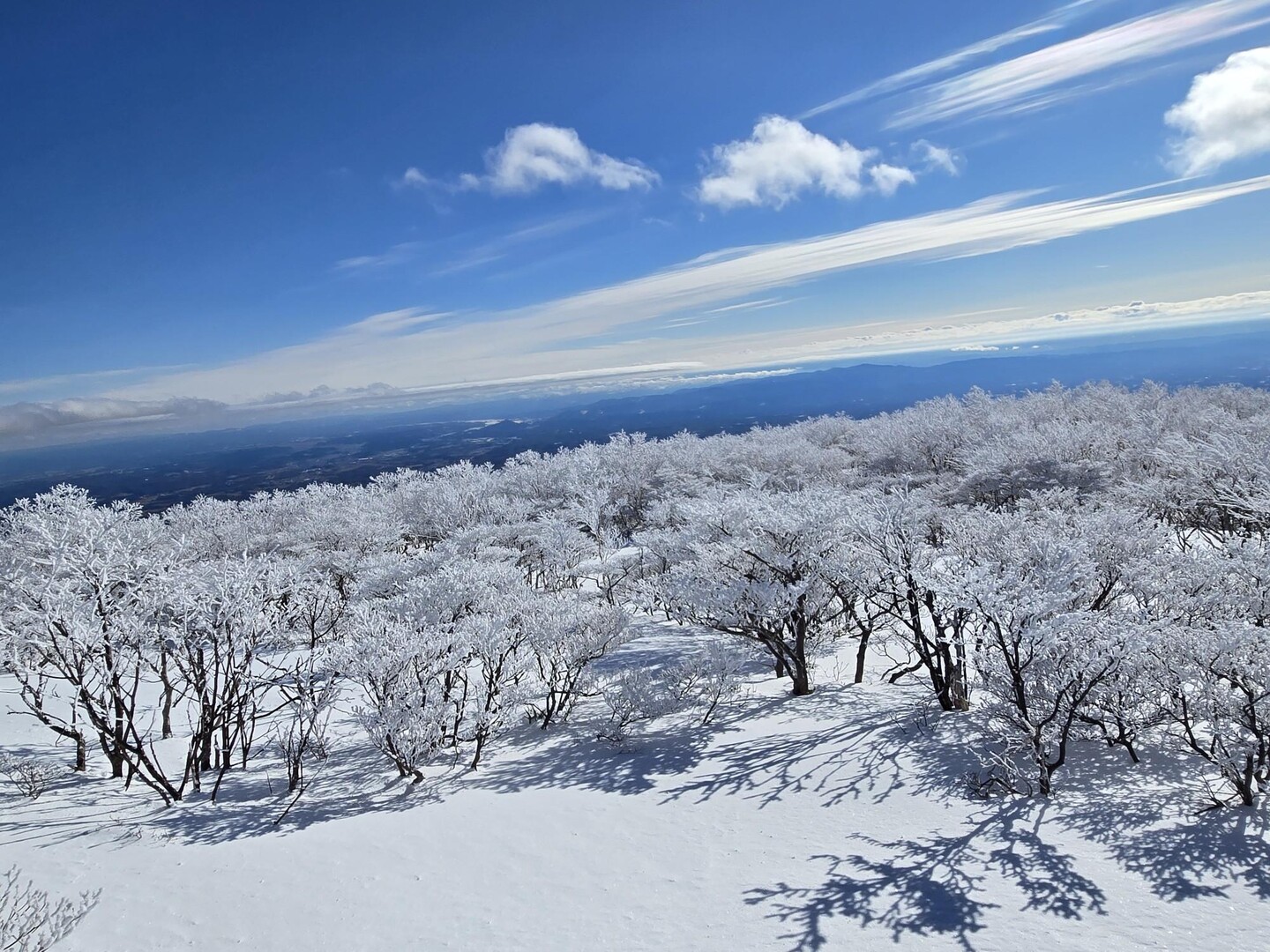 霧氷ワールドの赤面山 / オーさんさんの茶臼岳（那須岳）・三本槍岳・赤面山の活動日記 | YAMAP / ヤマップ