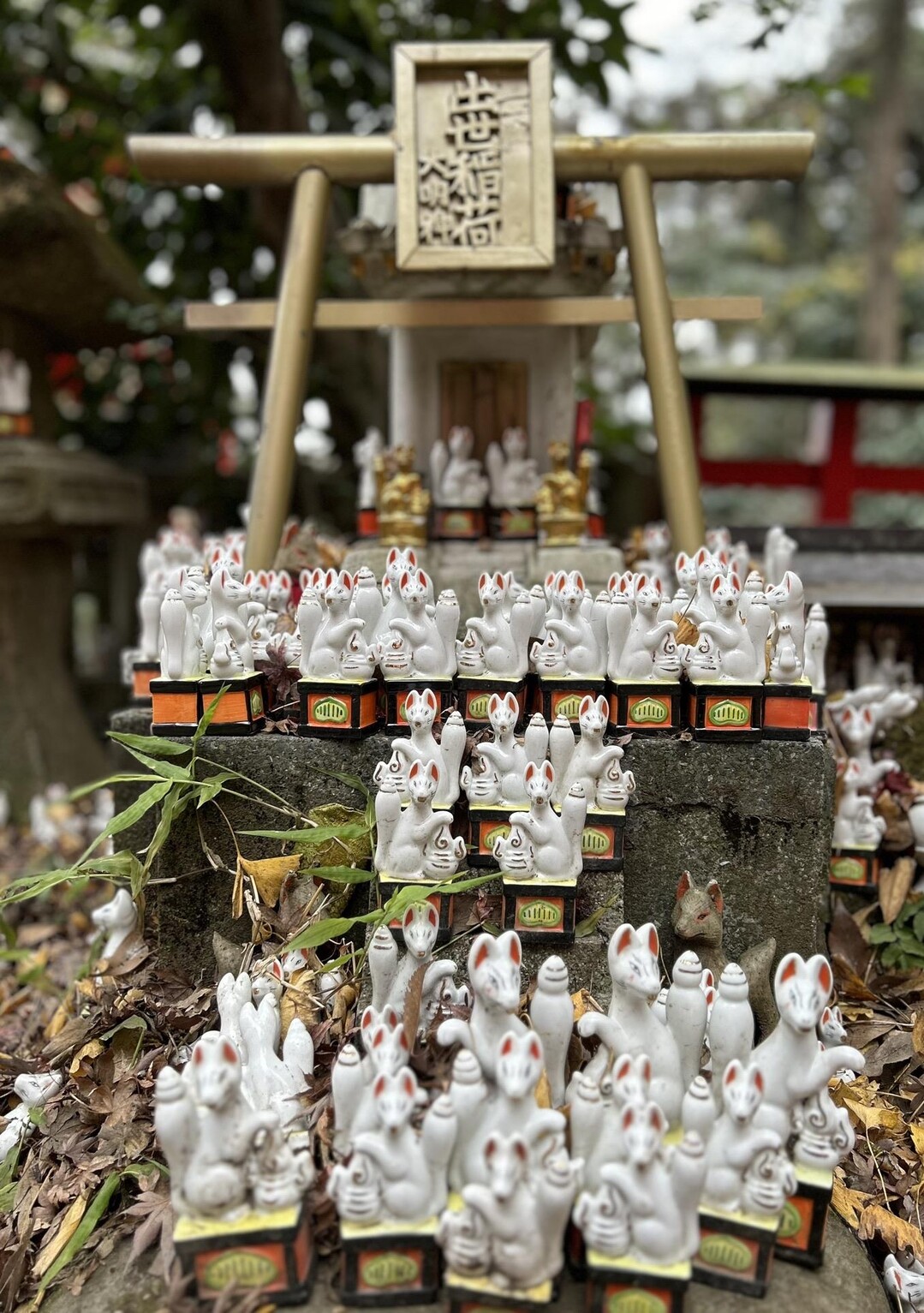 葛原岡・大仏ハイキングコース🥾 / Maaさんの鎌倉アルプス（大平山・天台山）の活動データ | YAMAP / ヤマップ