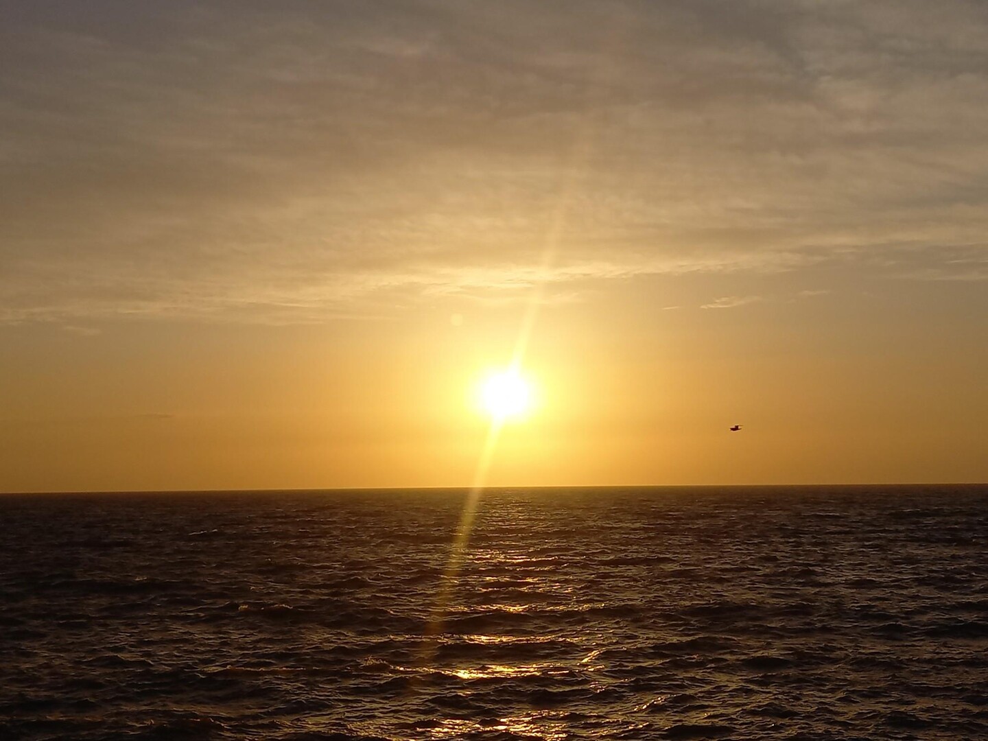 久々に海に沈む夕日が見れた。 / XR7さんのモーメント | YAMAP / ヤマップ