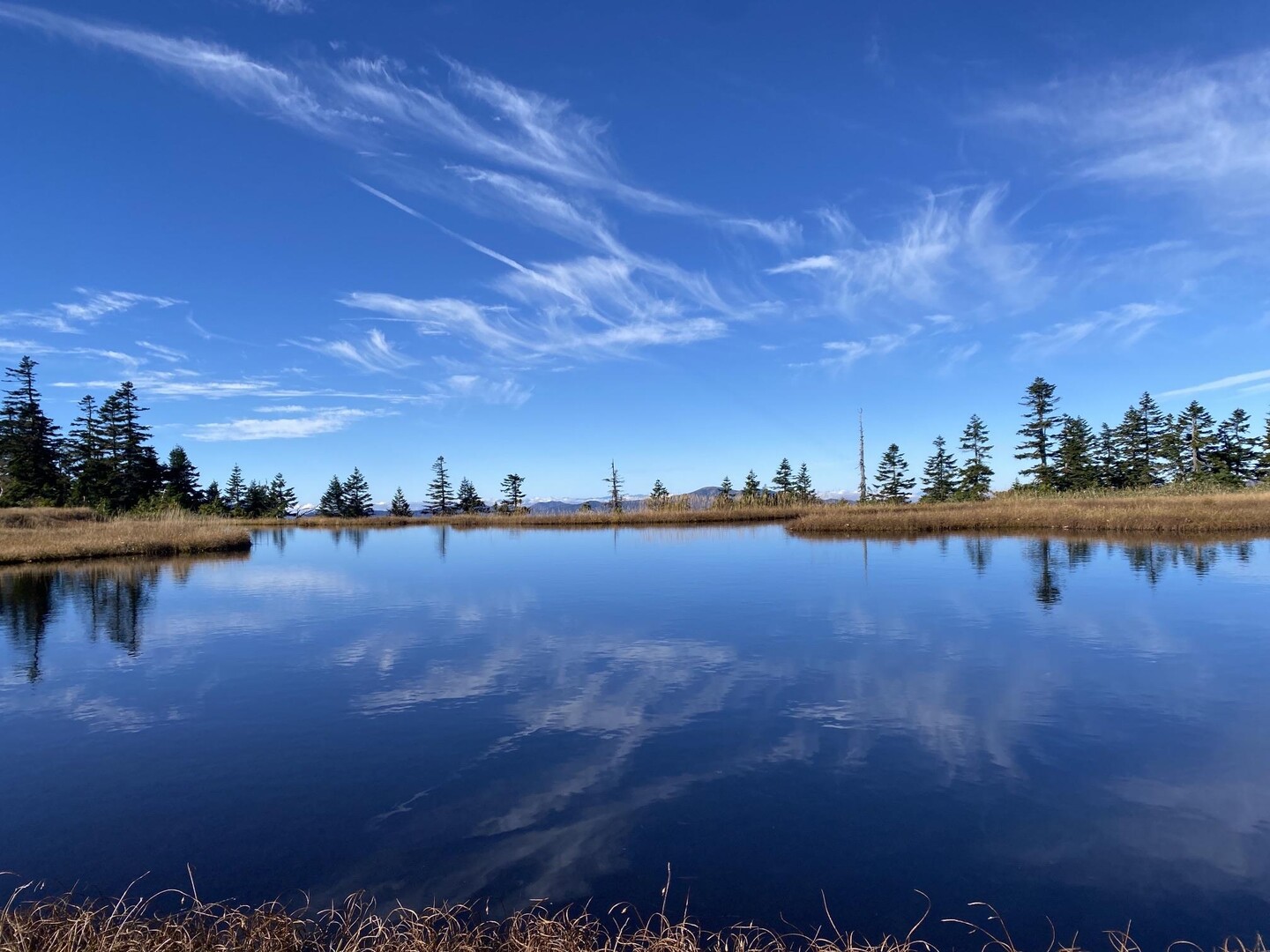 会津駒ヶ岳・中門岳 / naokiさんの会津駒ヶ岳の活動日記 | YAMAP / ヤマップ