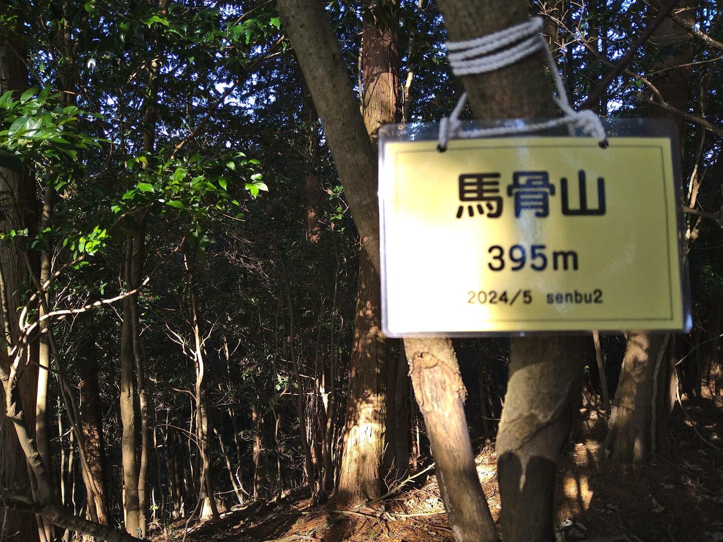 馬骨山 / masazyさんの大根地山の活動データ | YAMAP / ヤマップ