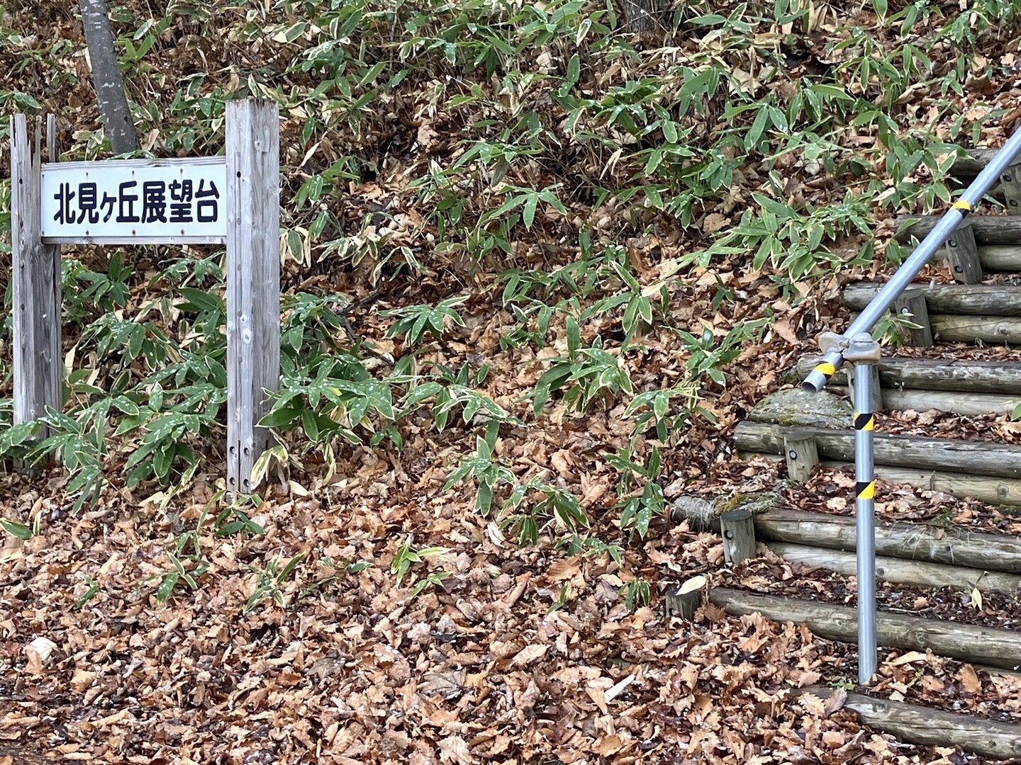 北見ヶ丘 / mappyさんの仁頃山の活動データ | YAMAP / ヤマップ