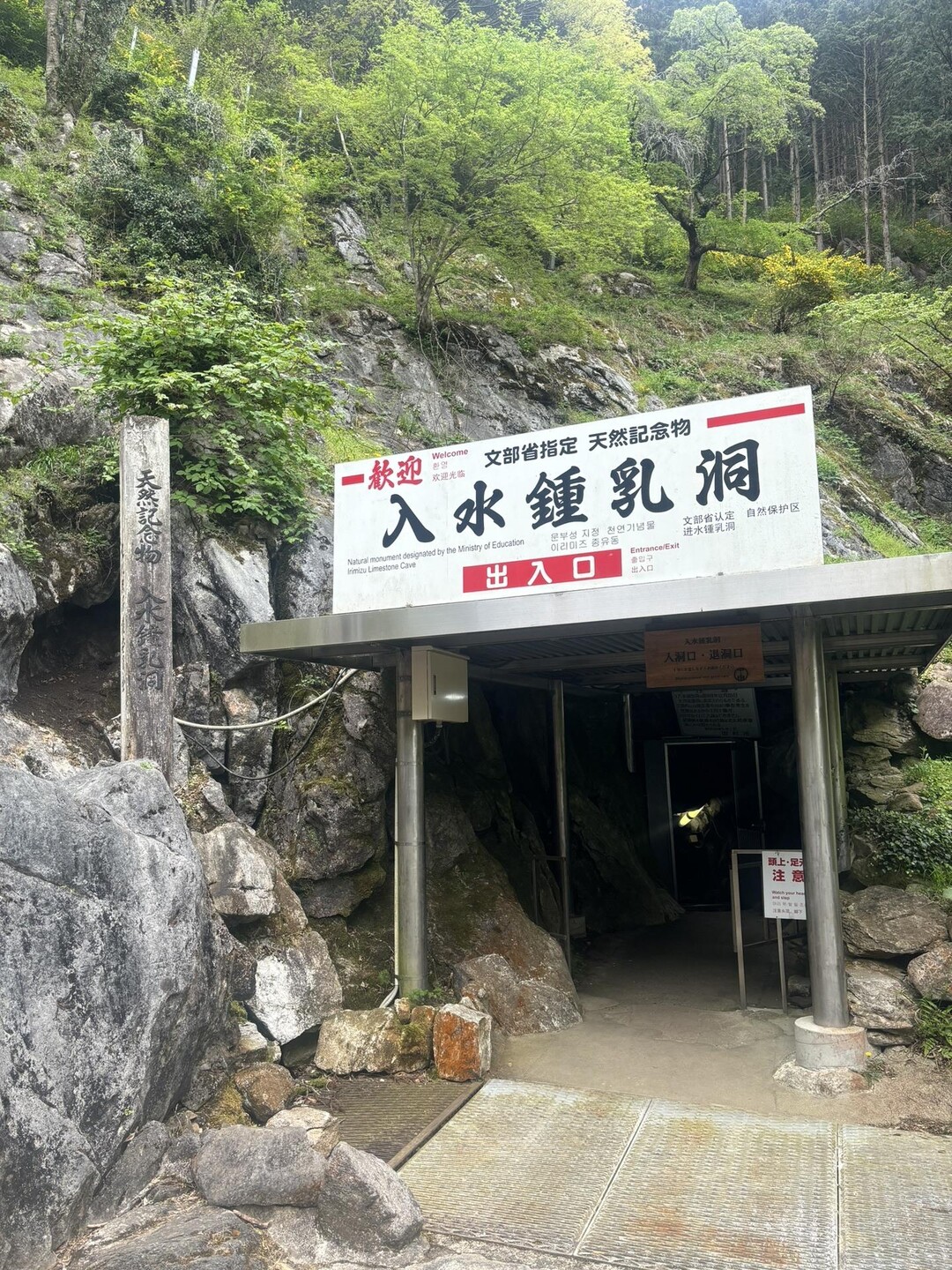 2024.5.1 入水鍾乳洞 選択したの... / taraさんのモーメント | YAMAP / ヤマップ