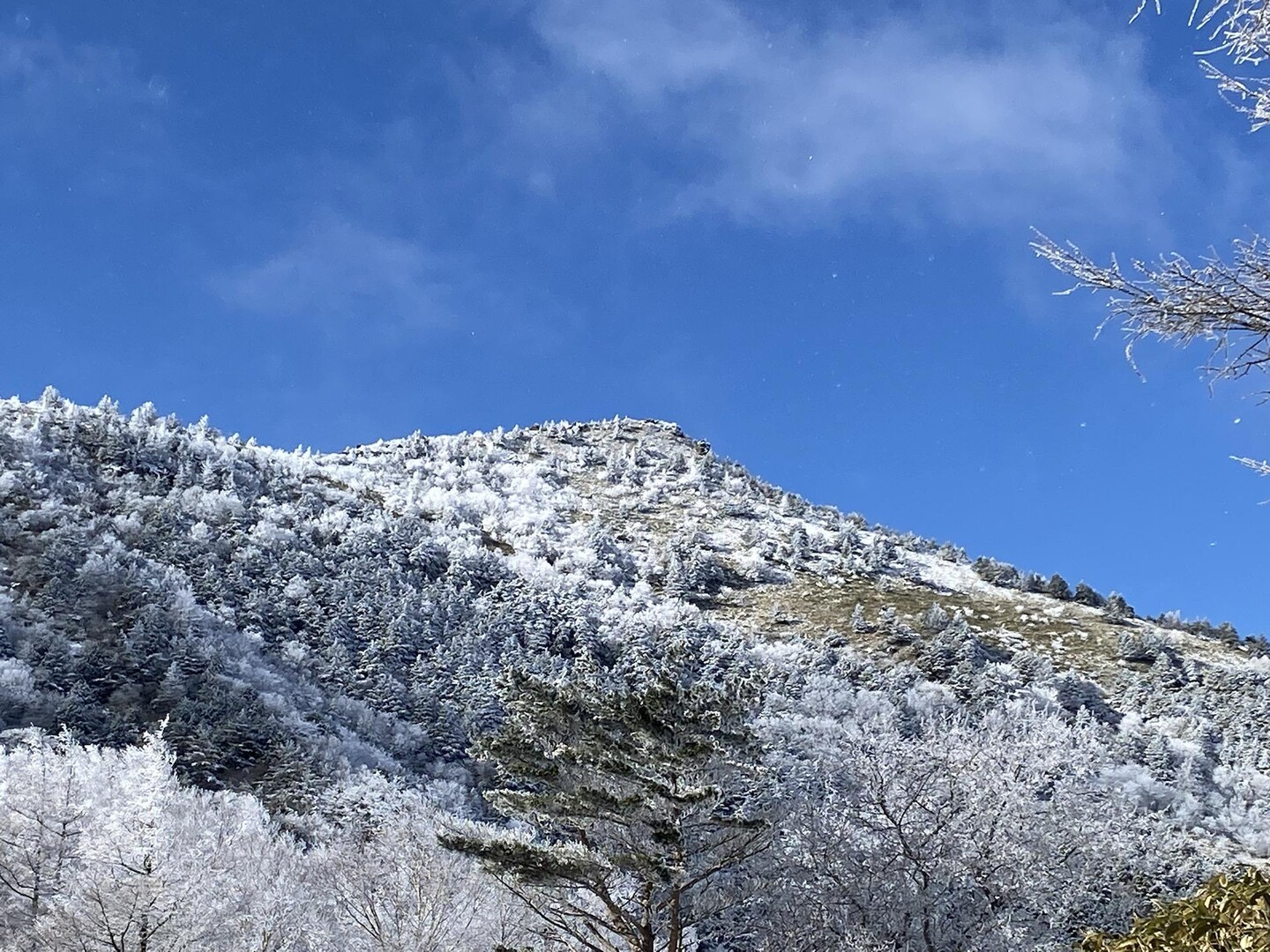 小烏帽子岳・烏帽子岳 霧氷をみたくて雪山へ / rabuさんの浅間山・黒斑山・篭ノ登山の活動データ | YAMAP / ヤマップ