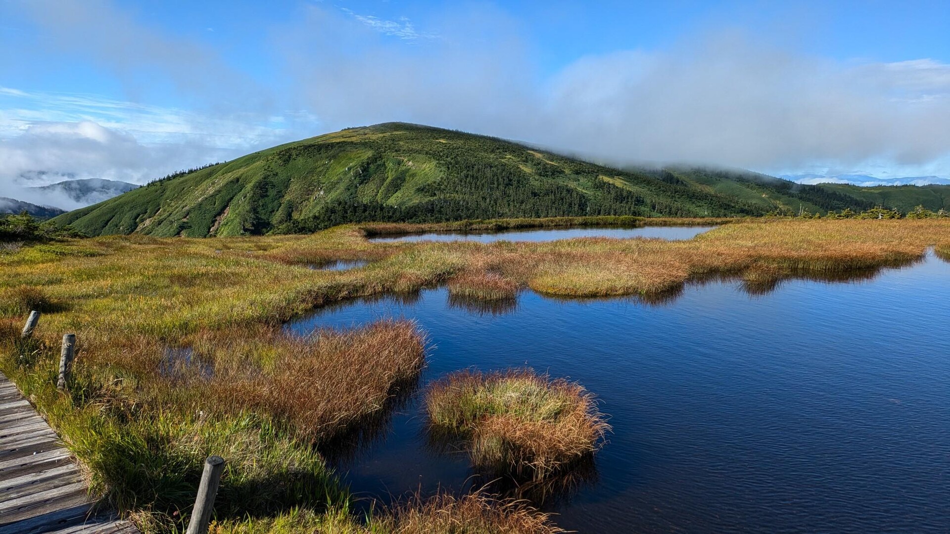 🔥平ヶ岳で限界突破の巻🔥 / yasuさんの平ヶ岳・台倉山・池ノ岳の活動データ | YAMAP / ヤマップ