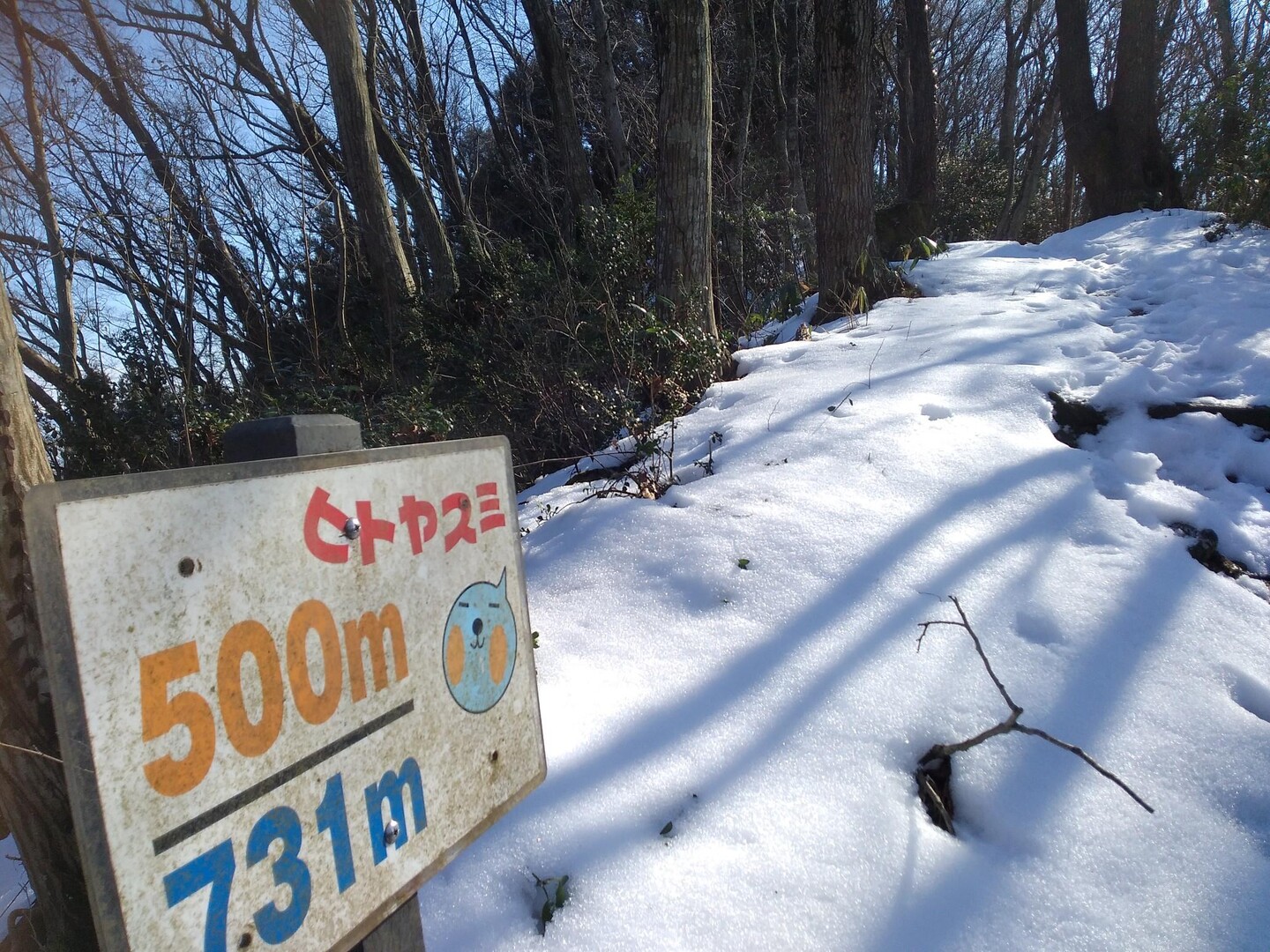 城山 / opal糸さんの城山・経ヶ岳・天神山の活動日記 | YAMAP / ヤマップ