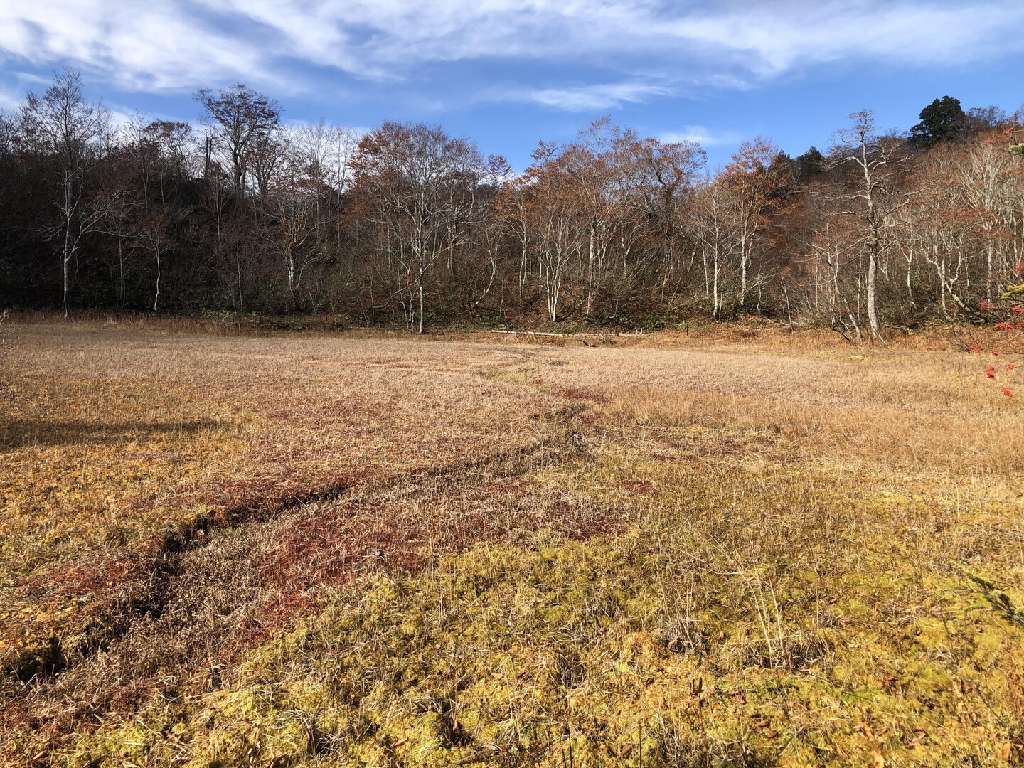 籾糠山 / victorioさんの籾糠山の活動データ | YAMAP / ヤマップ