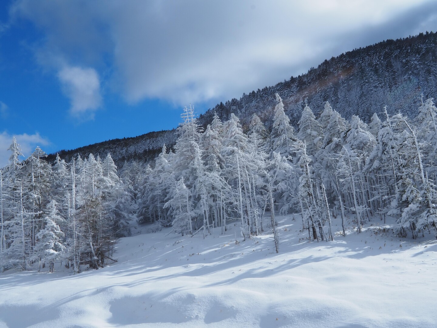 北横岳 / ICHI JUNさんの蓼科山・横岳・縞枯山の活動データ | YAMAP / ヤマップ