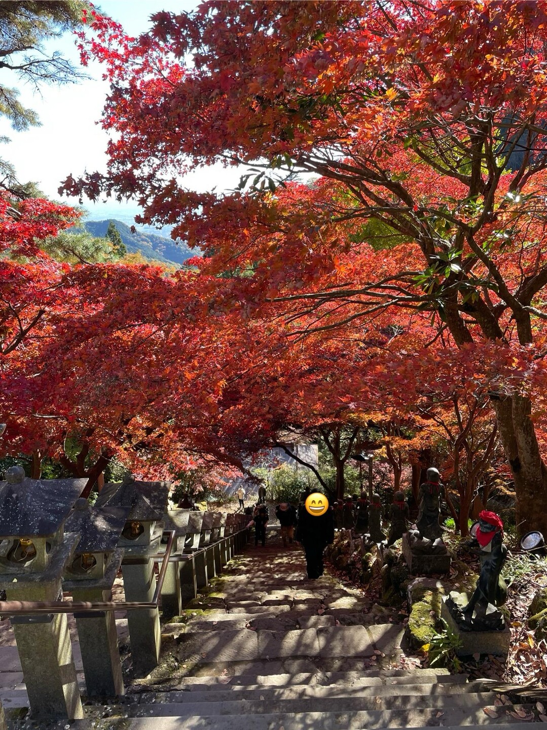 大人気、大山 / tatsuさんの大山の活動データ | YAMAP / ヤマップ